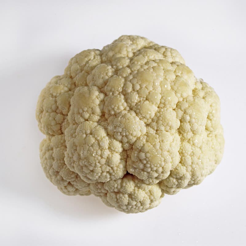 White Cauliflower, Brassica Oleracea, Vegetable Against White ...