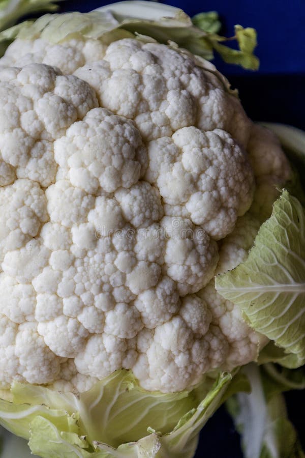 White Cauliflower Closeup Fresh Stock Photo - Image of farming, closeup ...