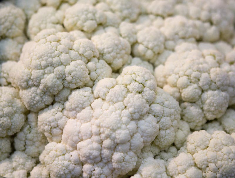 White Cauliflower curd stock photo. Image of lumpy, white - 7038568