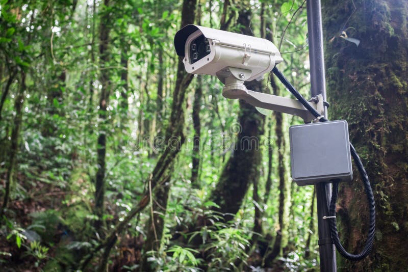 White CCTV Surveillance Camera Security in Forest. Stock Image - Image ...