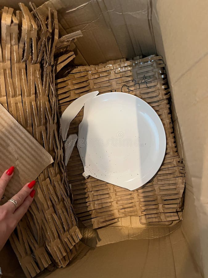White Ceramic Plate Broken during Shipping, Shown Resting on Rattan Mat ...