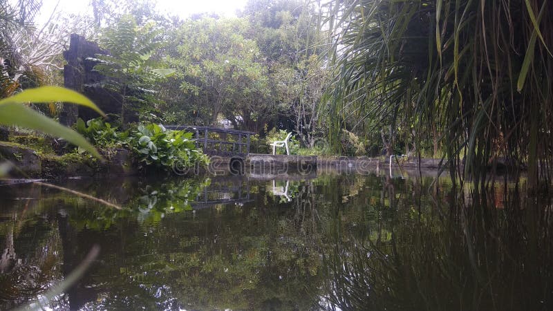 White Chair by the Pond. Mirrored Effect Stock Image - Image of river ...
