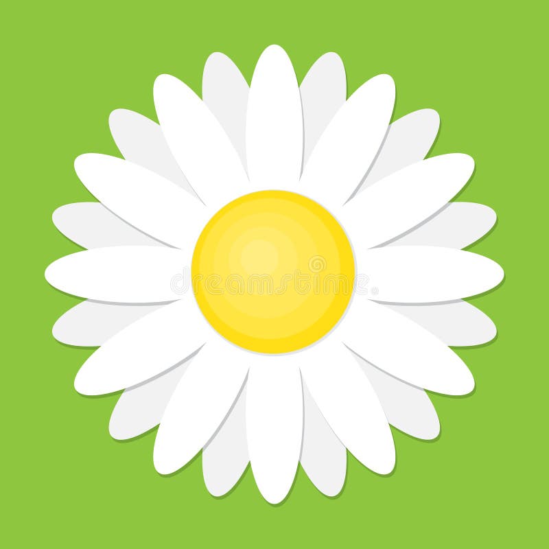 White Chamomile Icon. Vector Illustration Stock Illustration ...