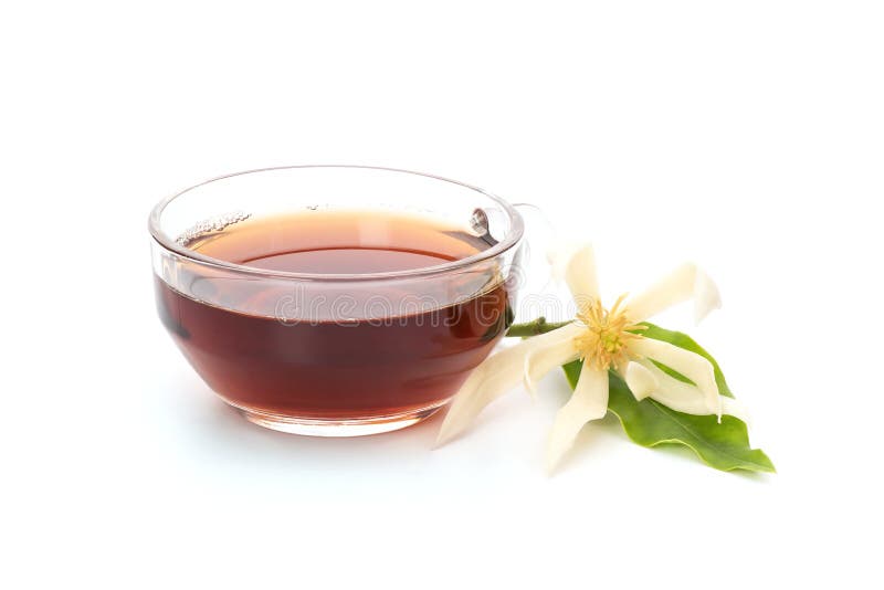 320 Michelia Champaca Photos - Free & Royalty-Free Stock Photos from ...