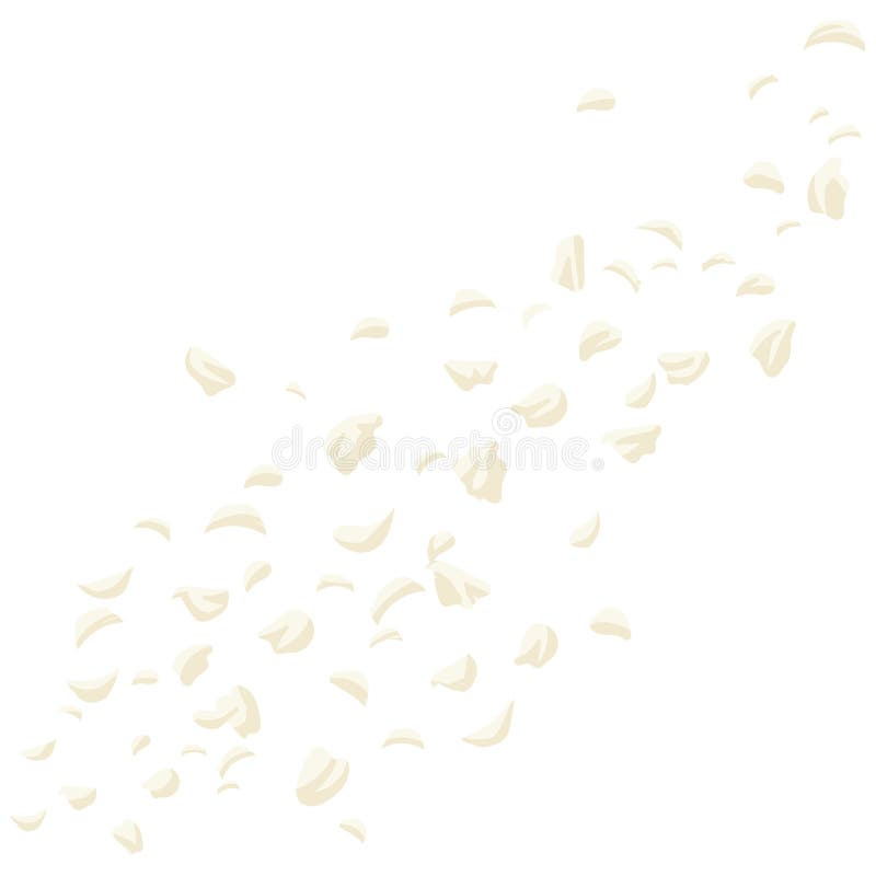 White Cherry Blossom Petals Rose Falling Flower Illustration Vector Art ...
