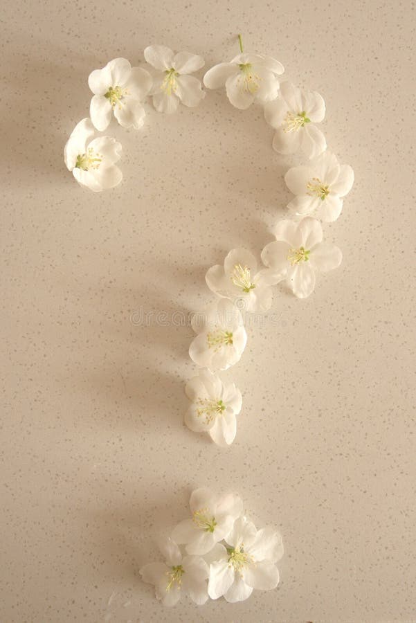 Question Mark Vertical stock image. Image of help, punctuation - 4137779