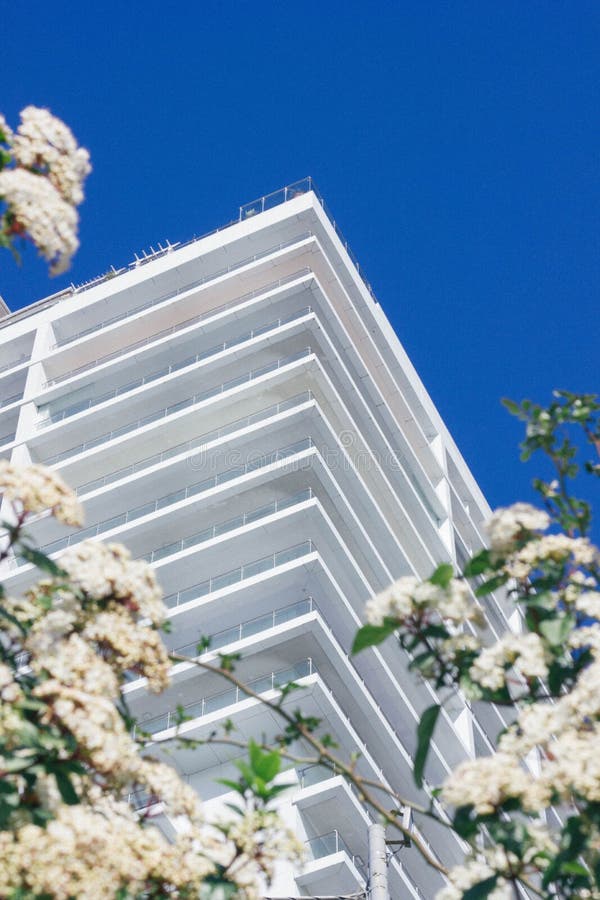 White Cherry Blossoms beside High-rise Building Stock Photo - Image of ...