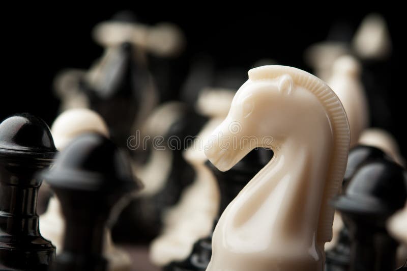 Chess White Knight stock photo. Image of game, horse - 44237884