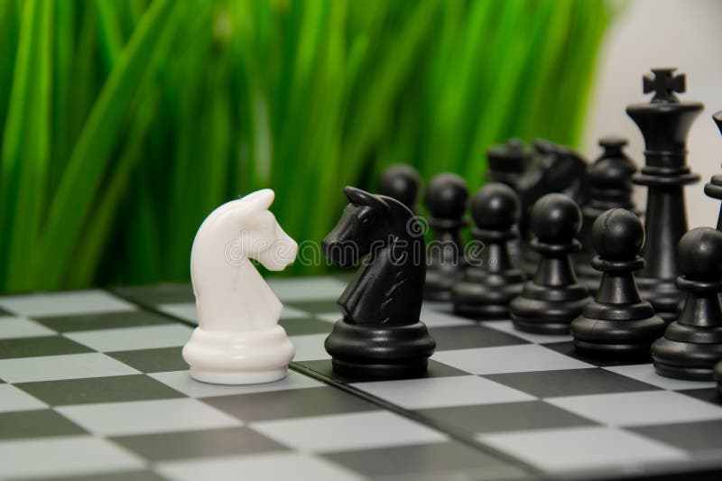A White Chess Knight Stands in Front of a Black One and an Army of ...
