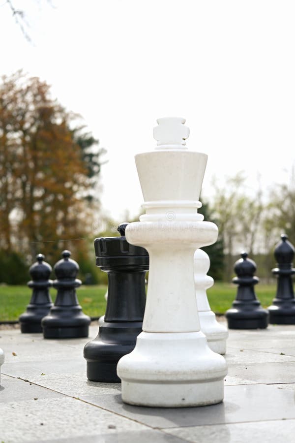 White Chess Piece King Close Up in Outdoors on Background Black Chess ...
