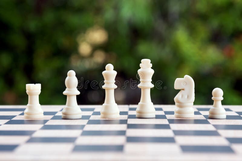 White 6 Chess Pieces on a Chessboard Stock Image - Image of knight ...