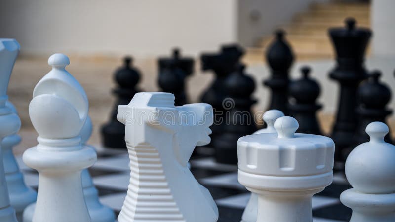 White Chess Pieces Lined Up at the Start of a Game Stock Image - Image ...