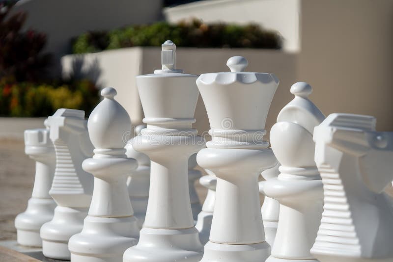 White Chess Pieces Lined Up at the Start of a Game Stock Image - Image ...