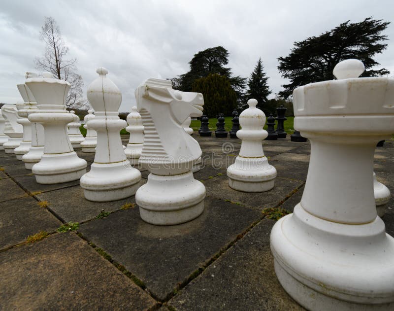 The White Chess Pieces stock image. Image of castle - 184527237