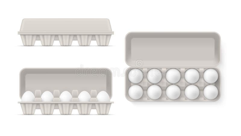 White Chicken Eggs in Open and Closed Package Side Top View Set ...
