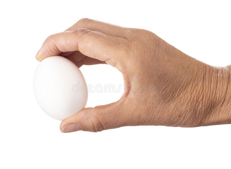 Hens, Chickens. Rhode Island Red. by Road. Free Range. Stock Image ...