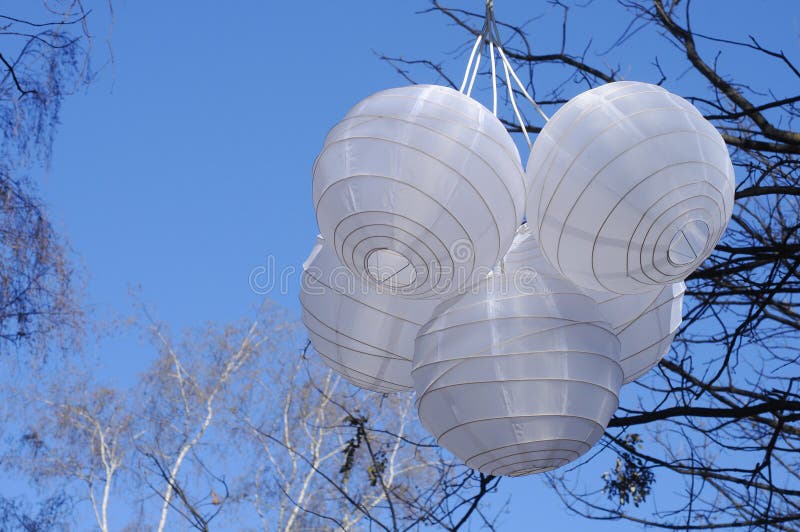 White Chinese Paper Lanterns Hanging on a Tree Branch Stock Image ...