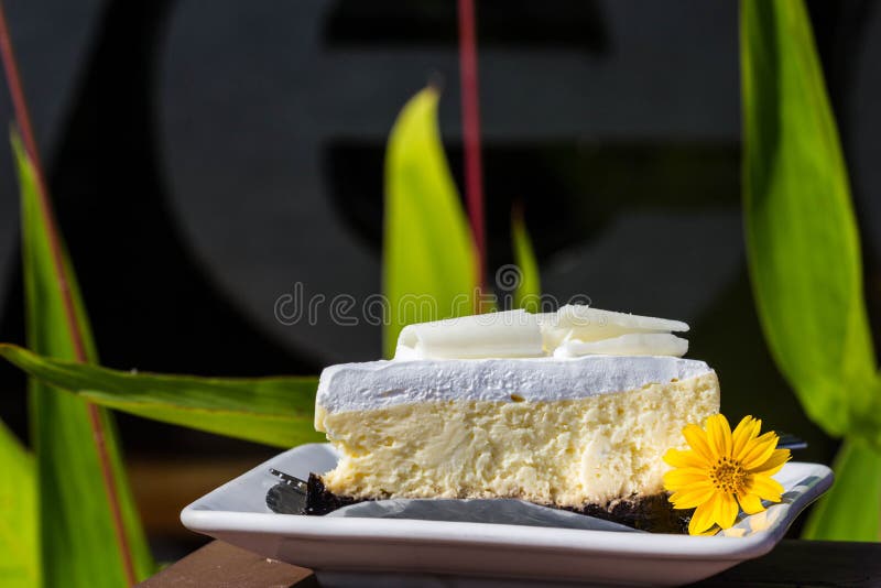 White Chocolate Cheese Cake Stock Image - Image of baked, freshness ...