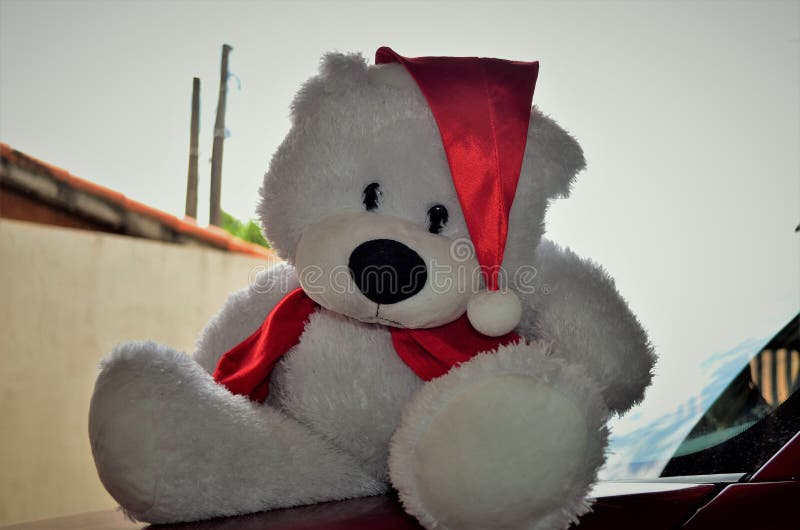 A White Christmas Teddy Bear Stock Photo - Image of graceful, claus ...