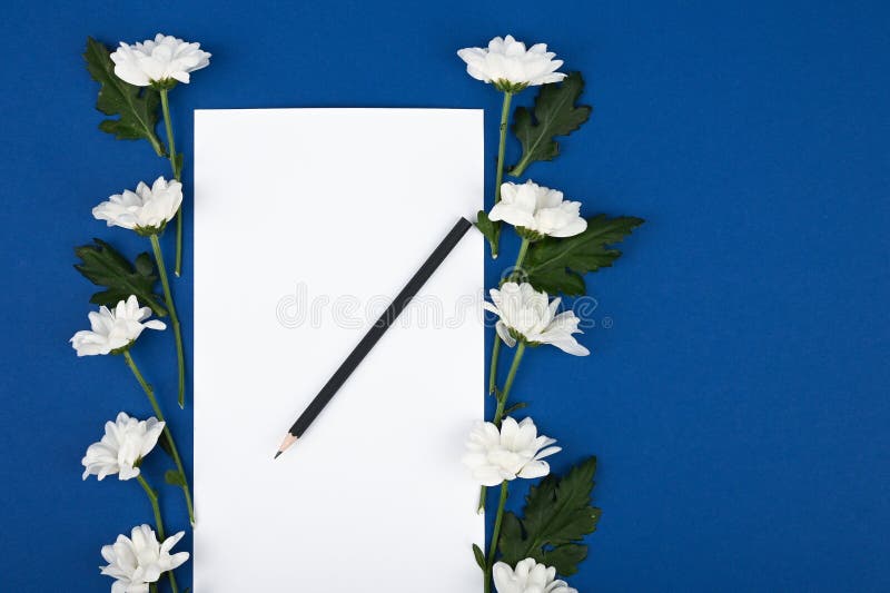 White Chrysanthemums with Paper Card Note on Blue Background. To Do ...