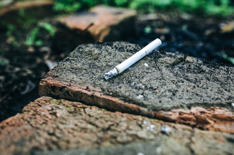 White Cigarette Lying on the Old Stone Outdoors in Forest. Harmful ...