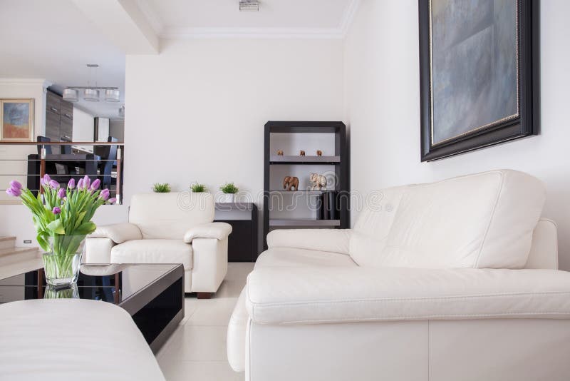 White and clean design stock photo. Image of commode - 62518836