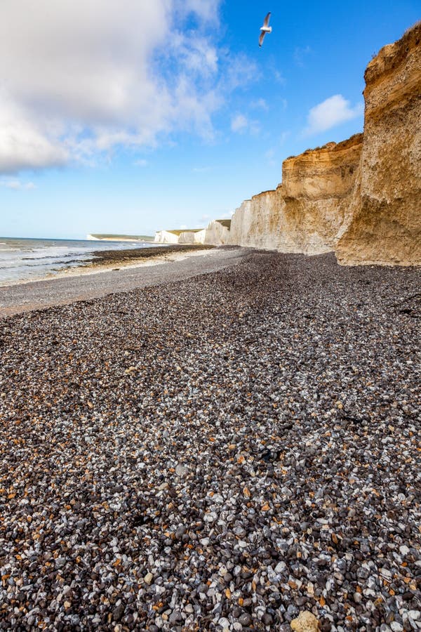 White cliffs Britain stock image. Image of pebbles, jurassic - 228335245