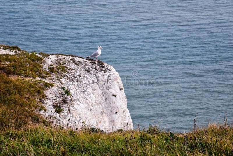 White Cliffs of Dover. Close Up Detailed Landscape View of the Cliffs ...