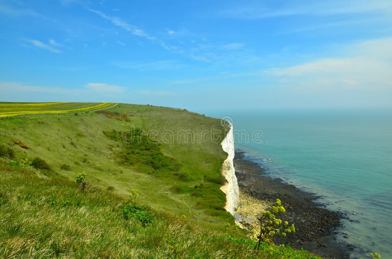 White Cliffs, England stock image. Image of white, coastline - 36299551