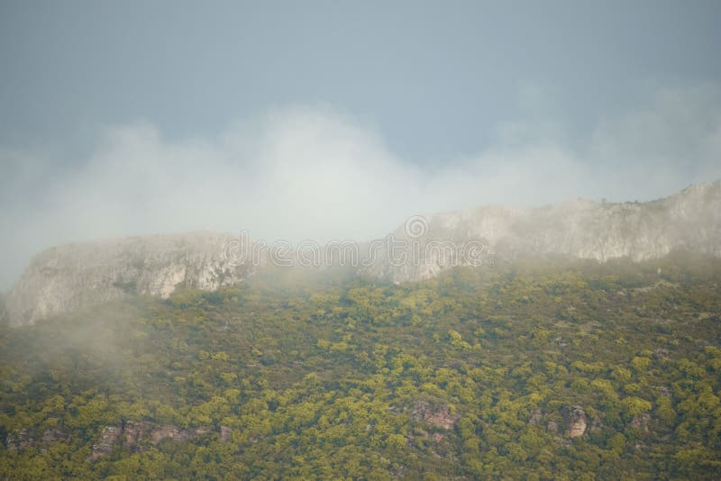 Mist covered mountain stock photo. Image of forest, cloud - 124937730