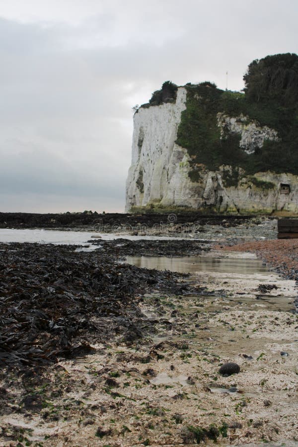White Cliffs of St Margarets Bay Kent, England, Uk Stock Photo - Image ...