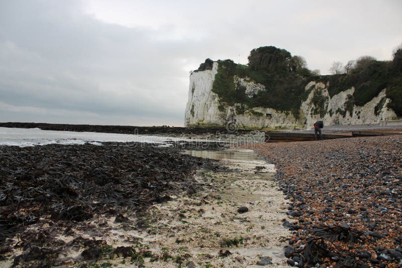 White Cliffs of St Margarets Bay Kent, England, Uk Stock Photo - Image ...