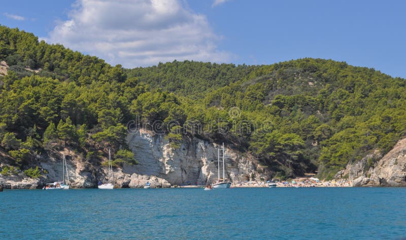 White cliffs in Vieste editorial stock image. Image of nature - 243146039