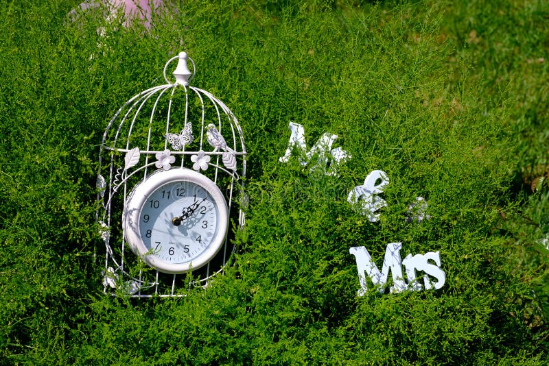 White clock in birds cage stock photo. Image of wedding - 153038332