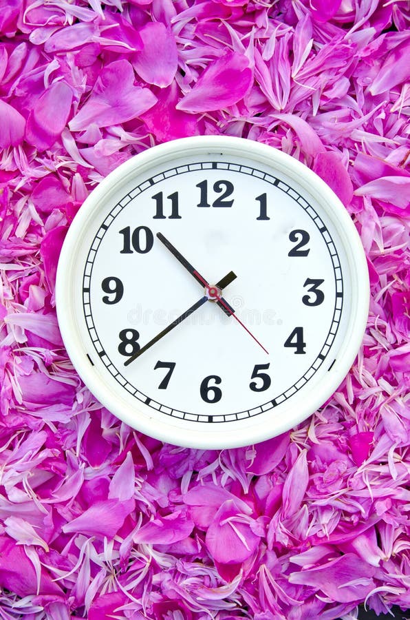 White Clock Face Dial on Pink Peony Flowers Background Stock Image ...
