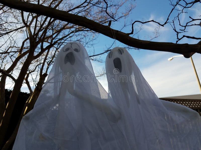 White Cloth Ghosts Hanging from Tree Branch Stock Photo - Image of ...