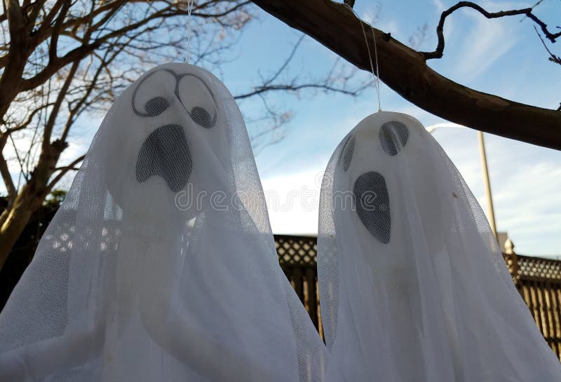 White Cloth Ghosts Hanging from Tree Branch Stock Photo - Image of ...
