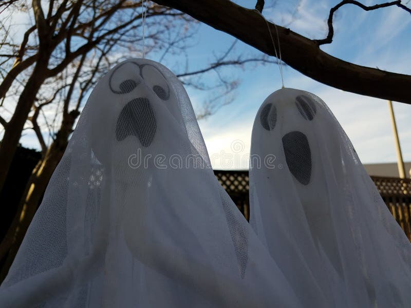 White Cloth Ghosts Hanging from Tree Branch Stock Photo - Image of ...