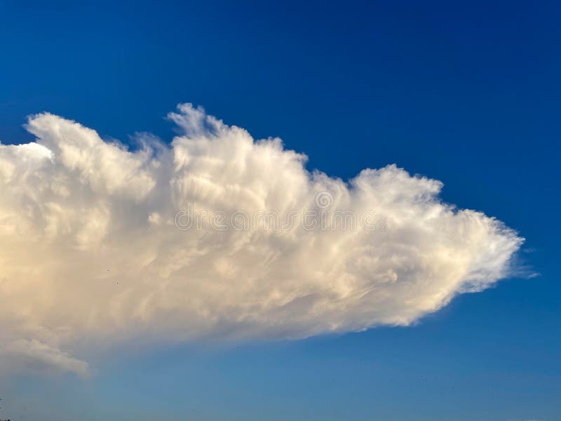 Green flied nature stock image. Image of outdoor, cloudy - 283477271