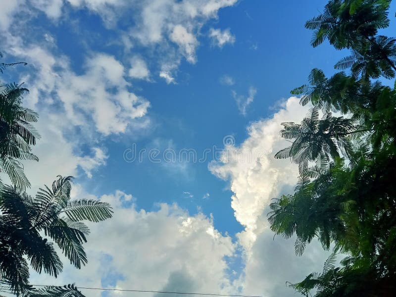 White Cloud and Excellent Beautiful Blue Sky and Shadow of Tree Leaf ...