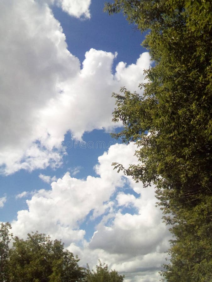 White Cloud Over the Trees on a Sunny Day Stock Photo - Image of tree ...