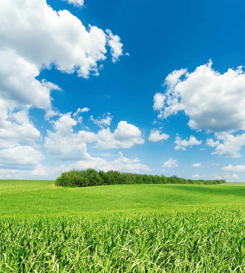 Clouds in Blue Sky and Green Grass Field Stock Image - Image of ...