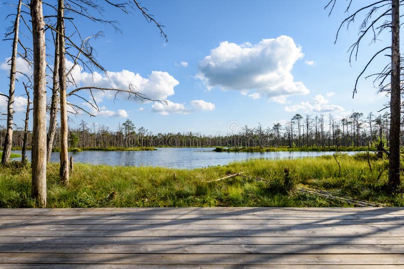 White Clouds on the Blue Sky Over Forest Lake Stock Photo - Image of ...