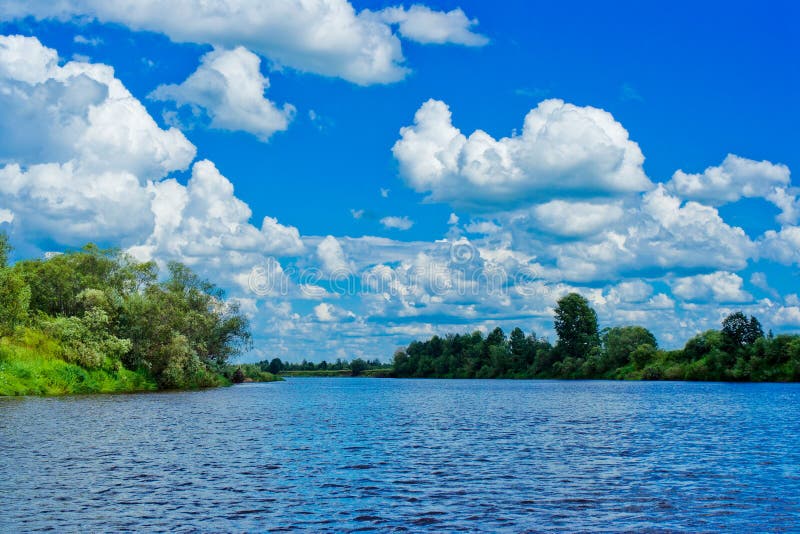 Riverbank stock photo. Image of bank, leaf, beauty, field - 29824748