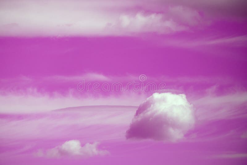 White Clouds in a Pink Sky, Romantic Sunset Stock Image - Image of ...