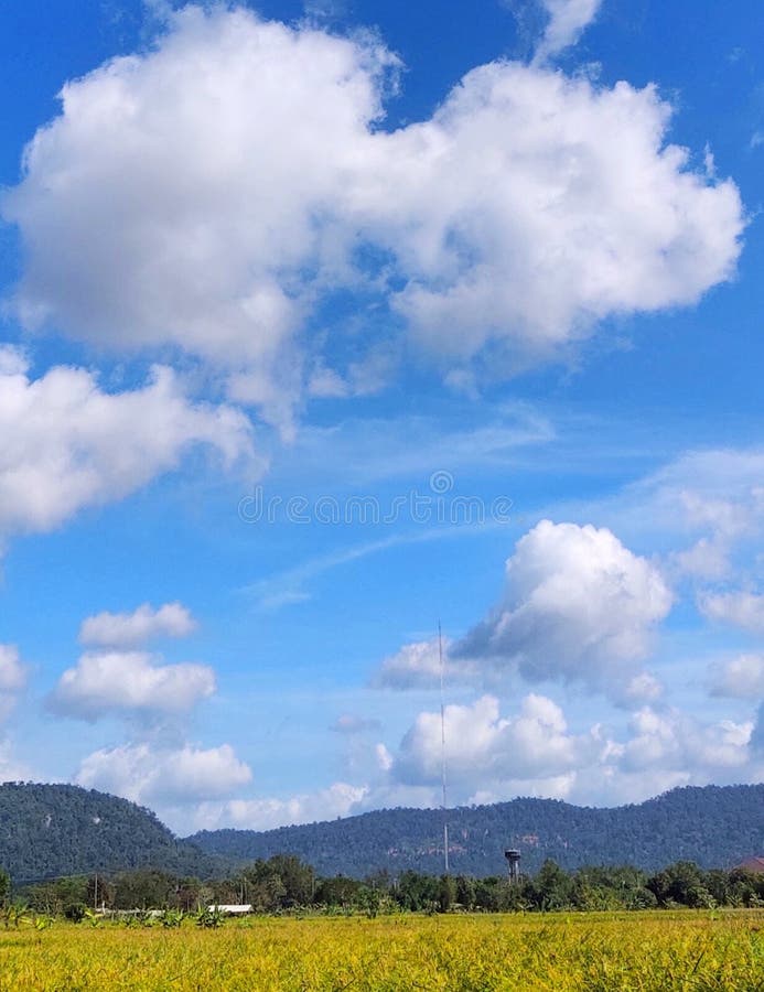 White Clouds in the Sky Drifted through Rice Fields and Mountains ...