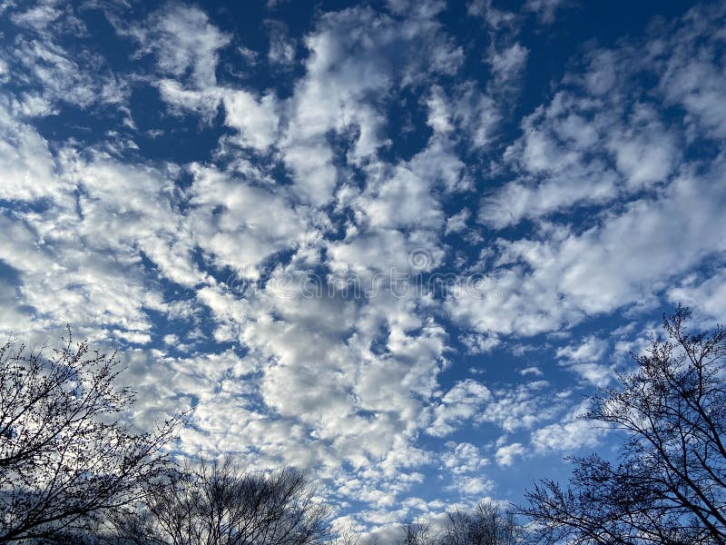 Winter Sunset in the Snowy Forest in March Stock Image - Image of white ...