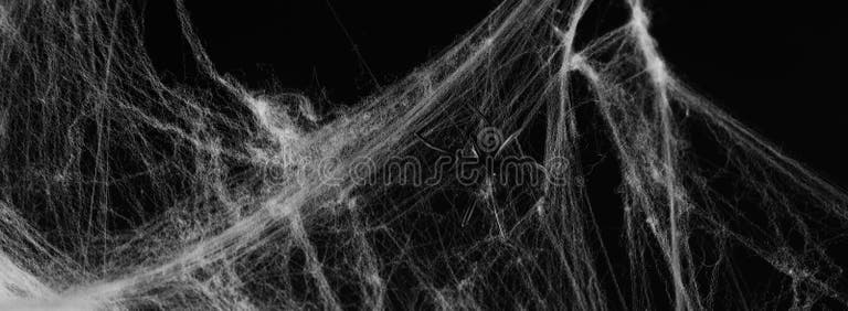 White Cobweb on Black Background, Banner Design Stock Photo - Image of ...
