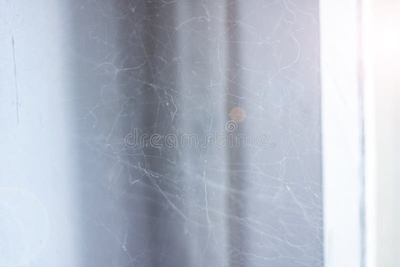 White Cobweb on a Gray Background Close Up Stock Image - Image of ...
