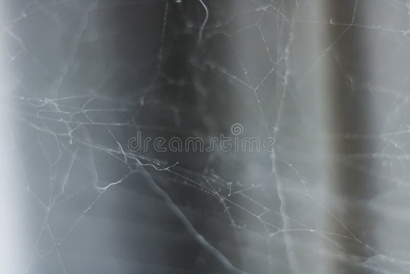 White Cobweb on a Gray Background Close Up Stock Photo - Image of dirty ...